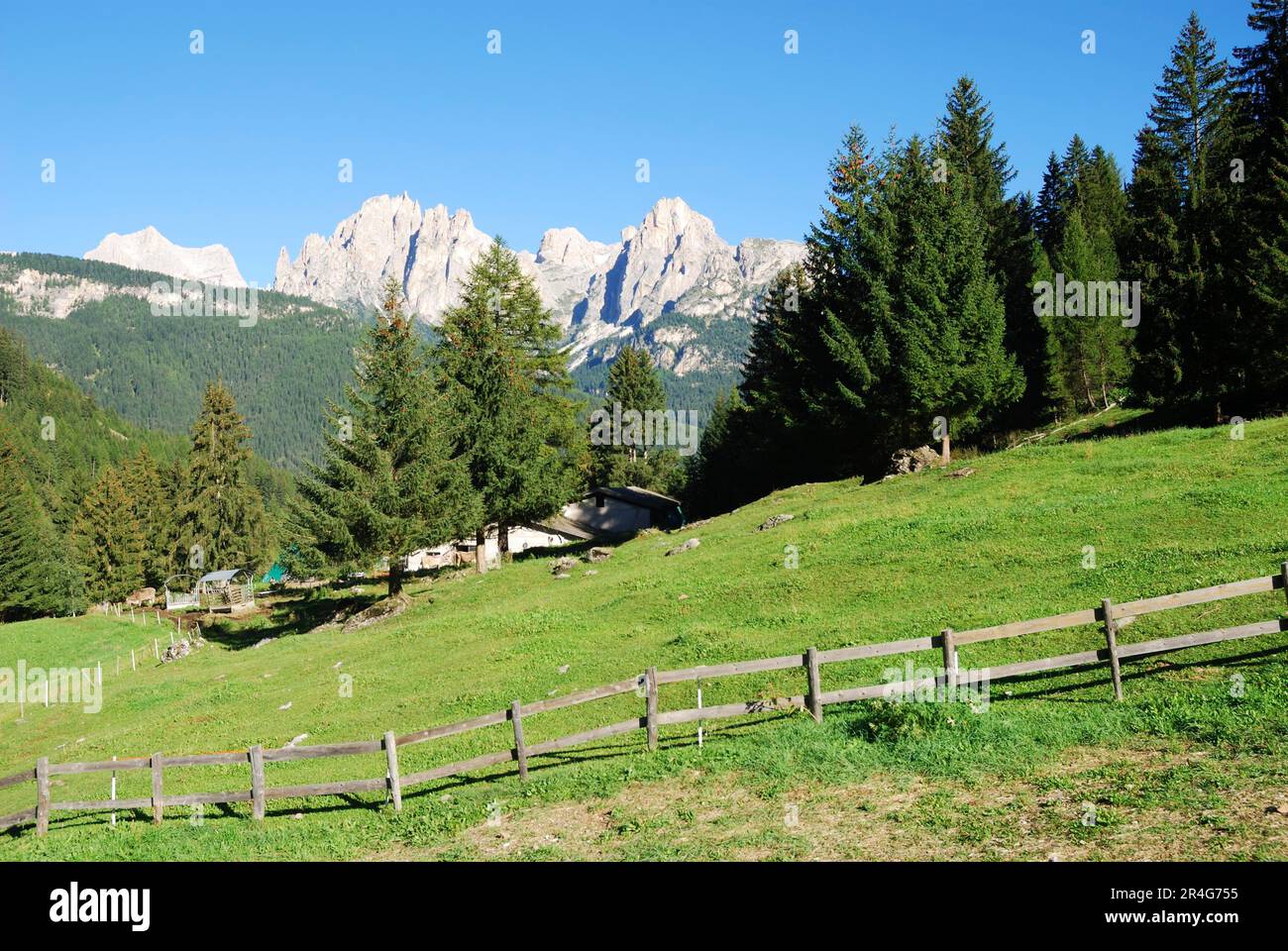Alpine meadow in the dolomites Italy Stock Photo - Alamy