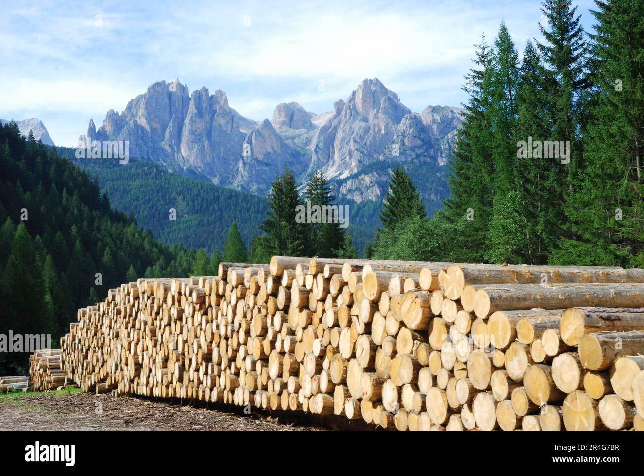 Pile of logs in the Dolomites of Italy Stock Photo - Alamy