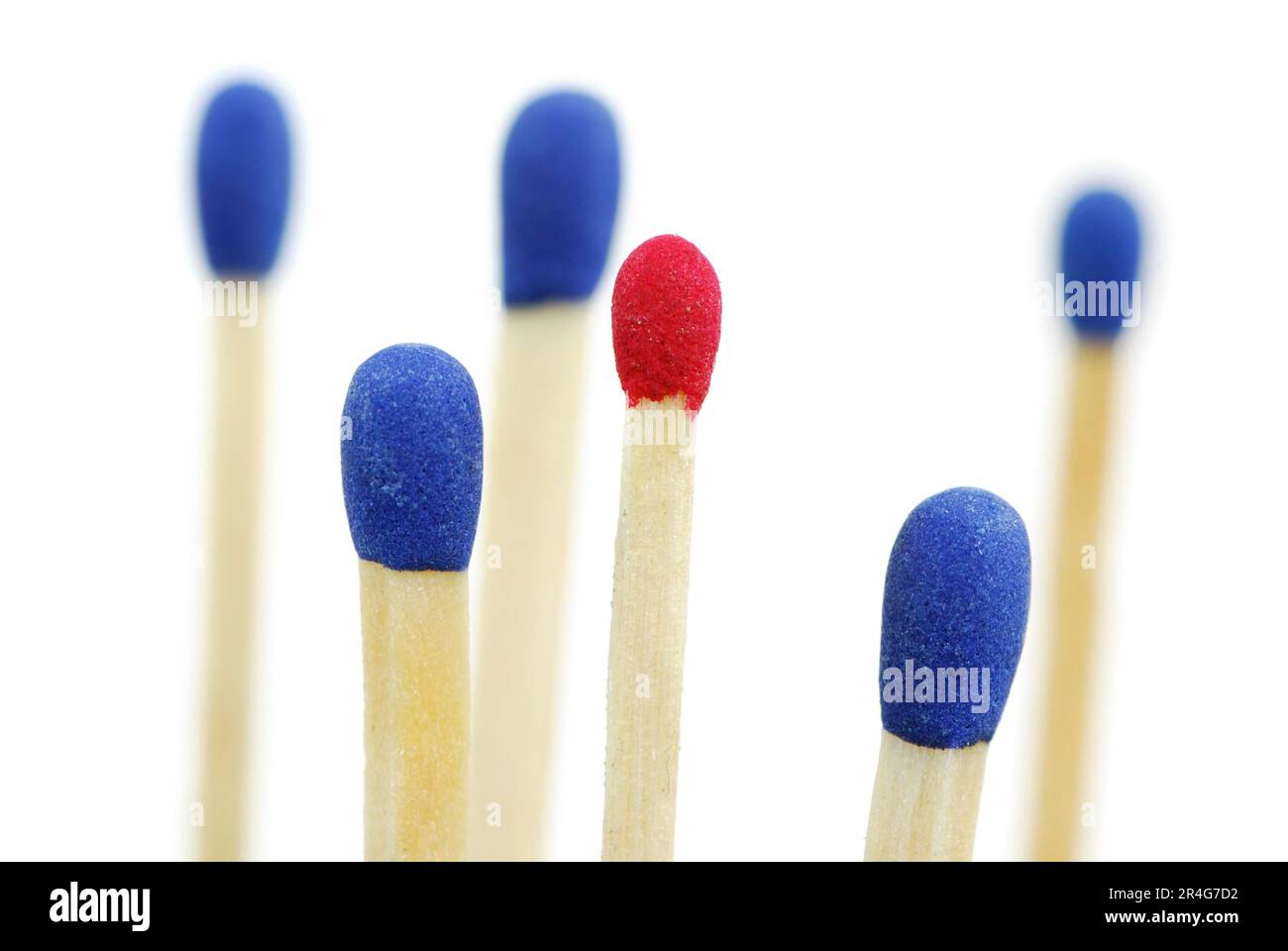 Macro close up group hi-res stock photography and images - Alamy