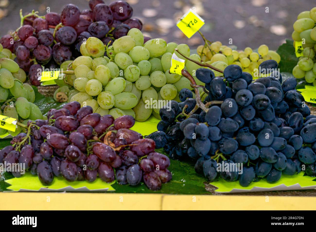 Organic grown grapes hi-res stock photography and images - Alamy