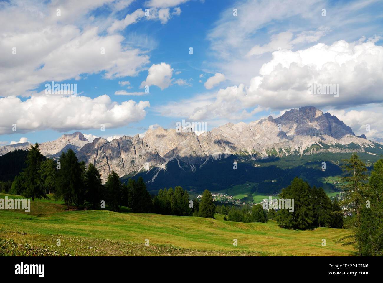 Alpine meadow in the dolomites Italy Stock Photo - Alamy