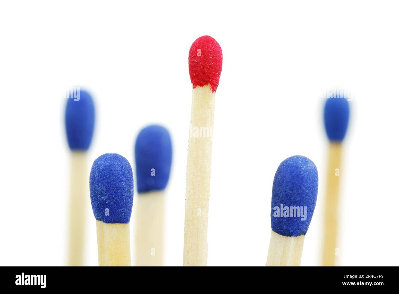 Macro close up view group hi-res stock photography and images - Alamy