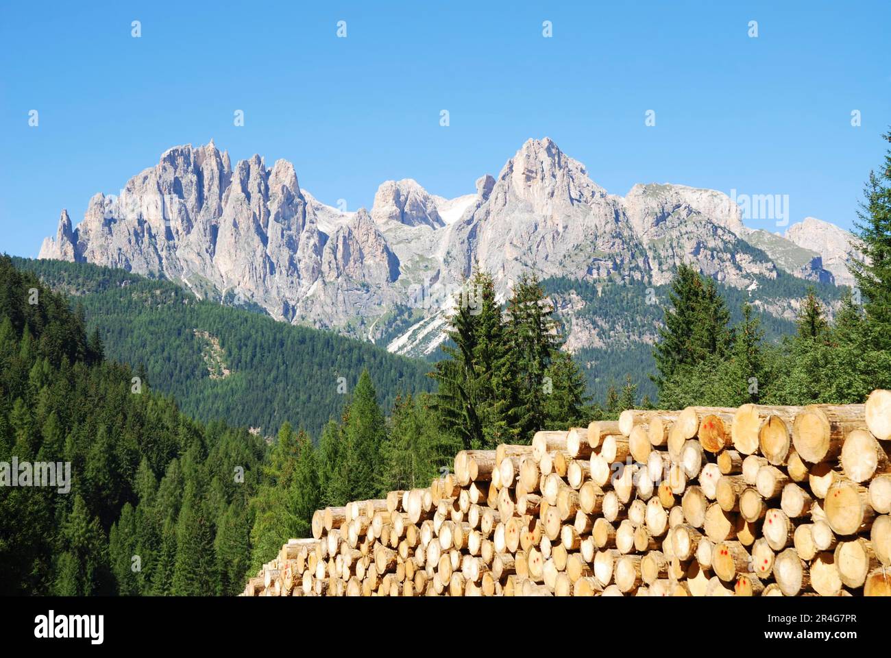 Pile of logs in the Dolomites of Italy Stock Photo - Alamy
