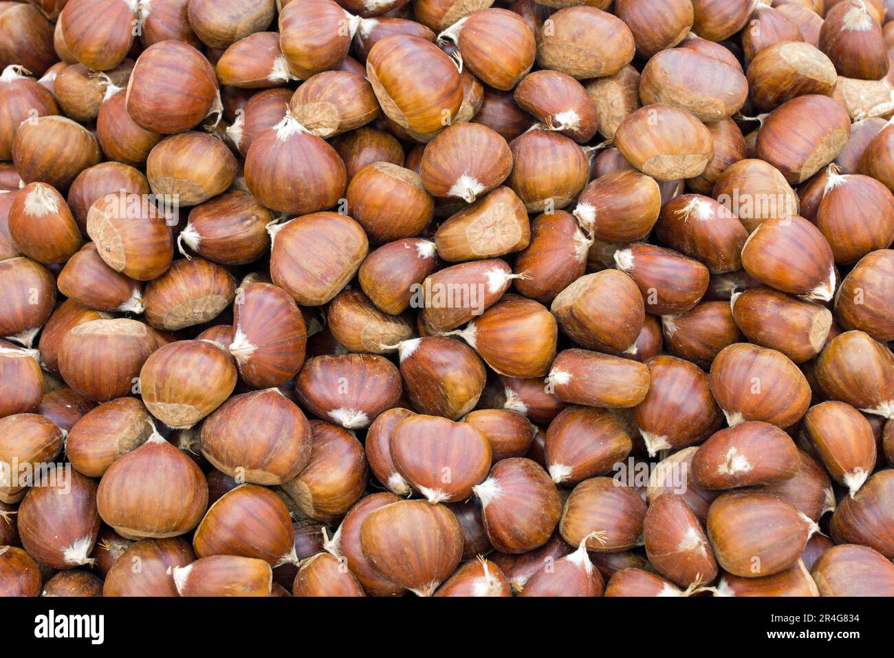 Brown hazelnut background Stock Photo - Alamy