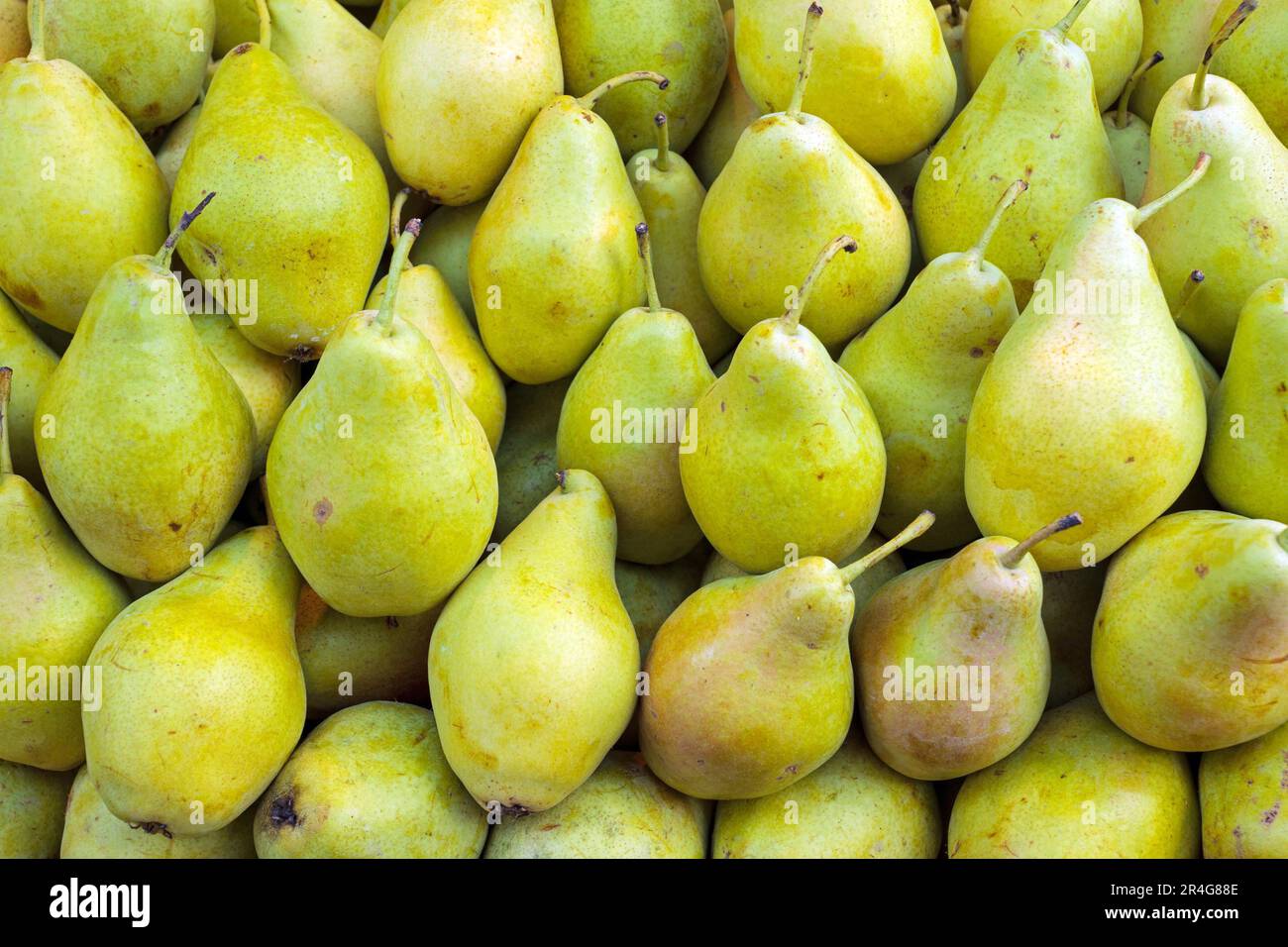 Green pears are sold at a market Stock Photo - Alamy