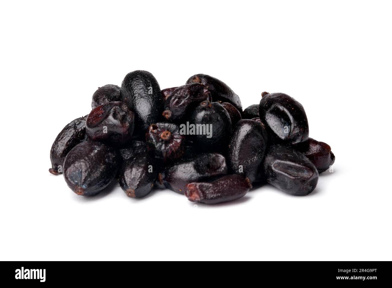 dry barberry on white background Stock Photo - Alamy