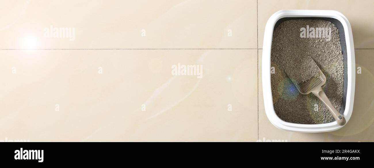 Cat tray with clumping litter and scoop on floor, top view. Banner ...