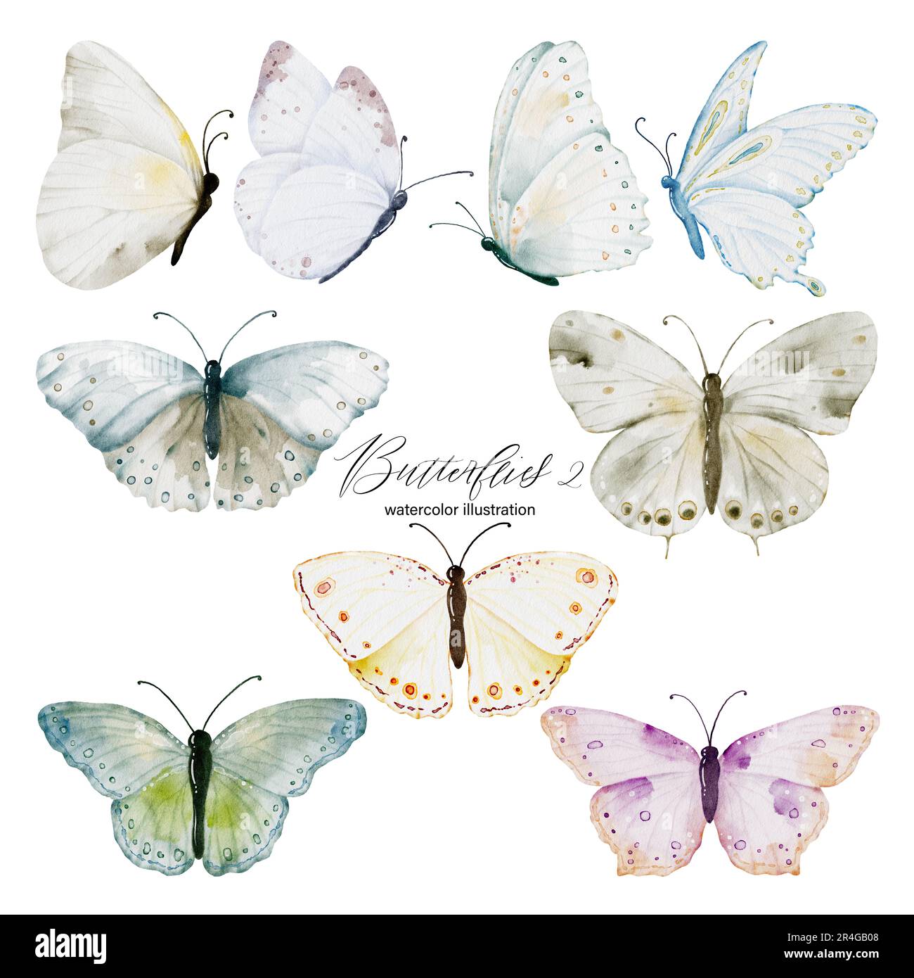 Watercolor soft earth tones butterflies collection, Illustration butterfly elements isolated on ...