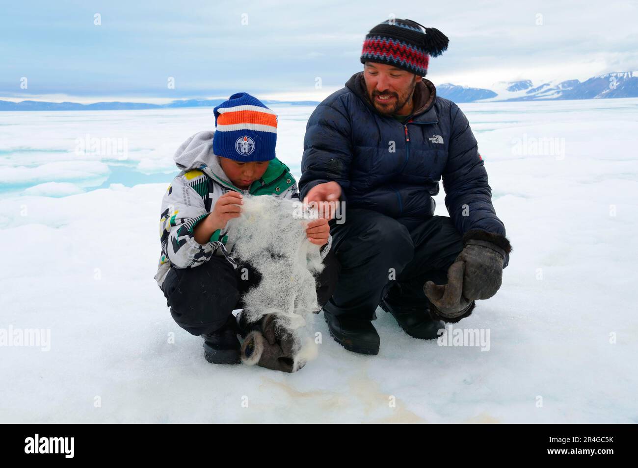 Eskimo shows baby fur of bearded seal to his son, Ellesmer, Inuit ...