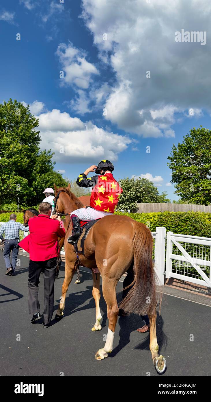 Newmarket Horse Racing Stock Photo - Alamy