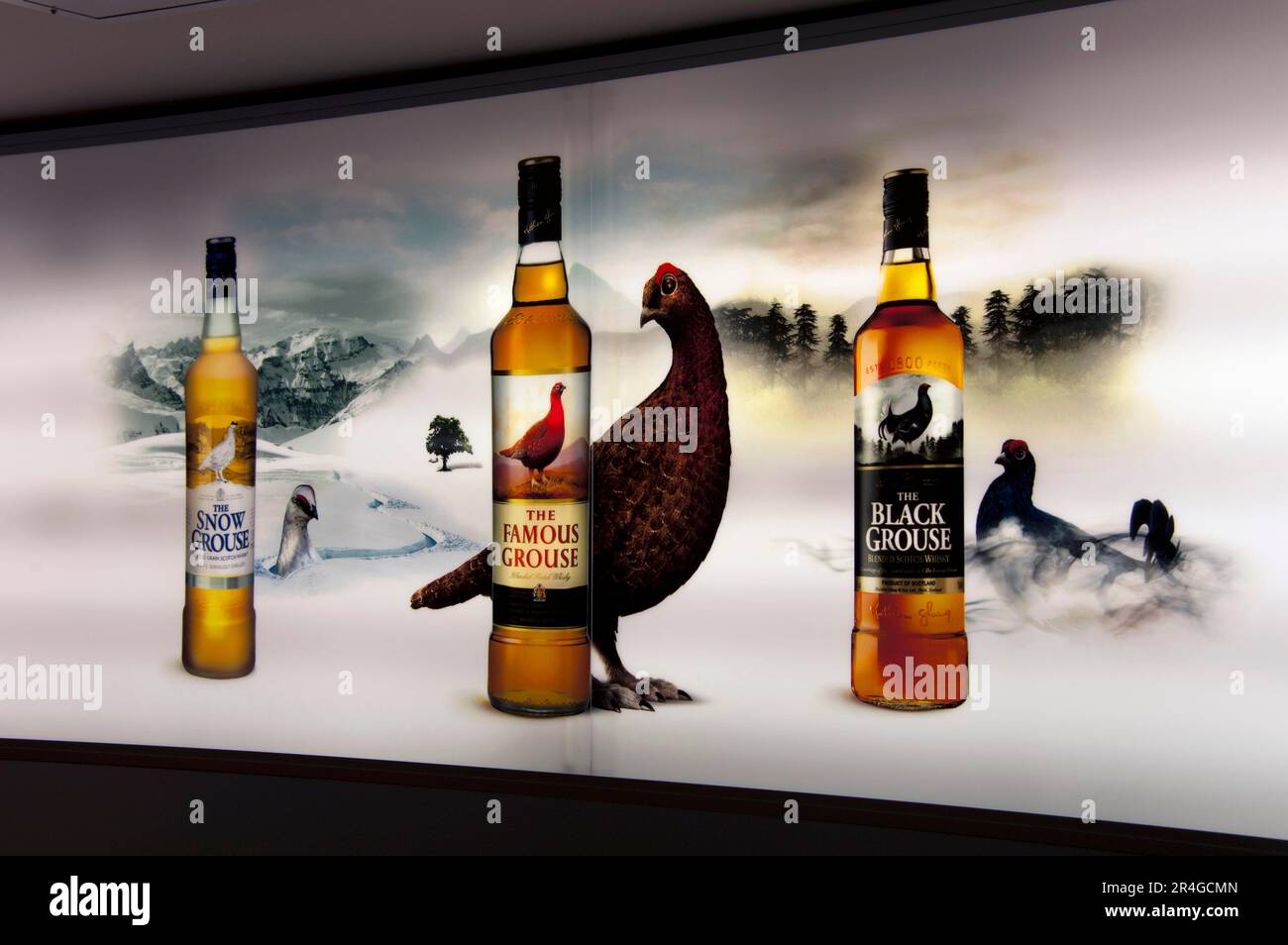 The Famous Grouse, Whisky Distillery, Glenturret, Crieff, Scotland ...