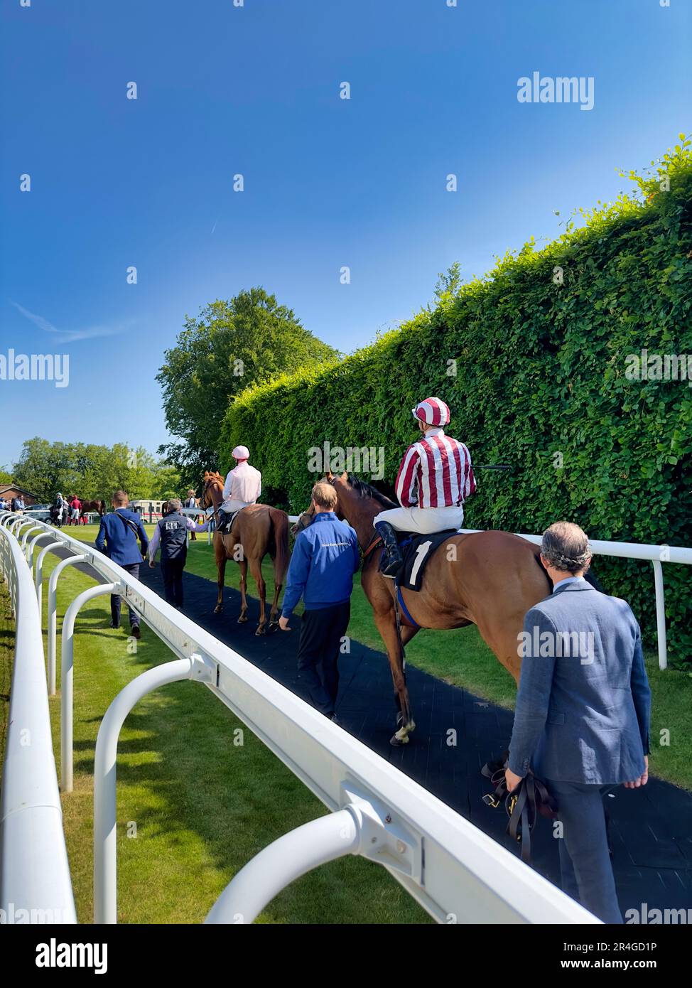 At the Races Goodwood Stock Photo - Alamy
