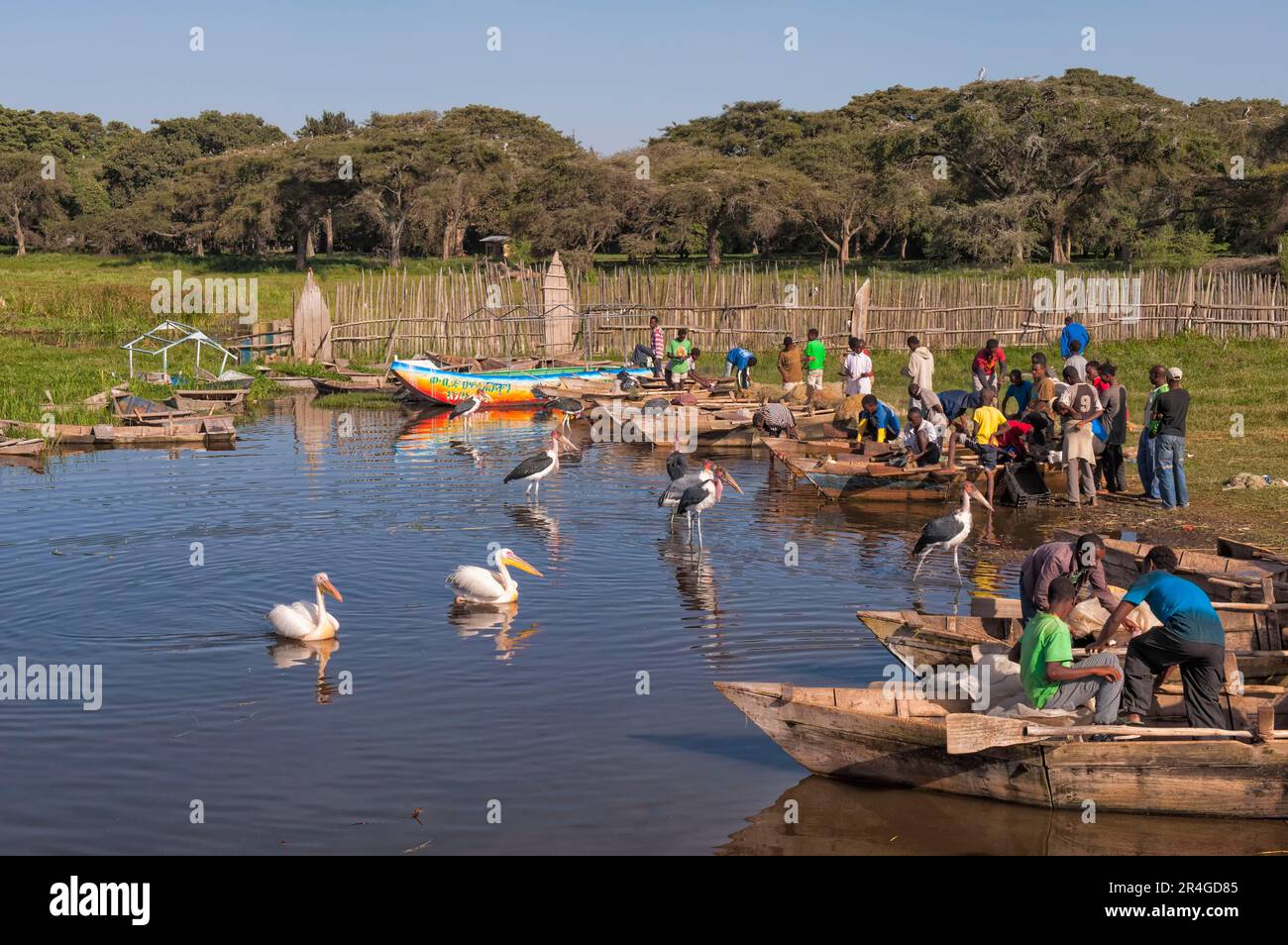 Boats in fishing harbour, Awasa, Ethiopia, Awassa, Hawassa Stock Photo ...