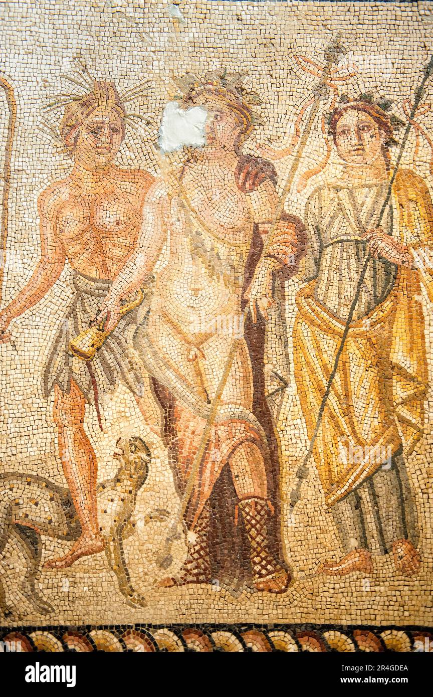 Mosaic of Dionysus, 2nd century AD, Archaeological Museum, Antioch ...