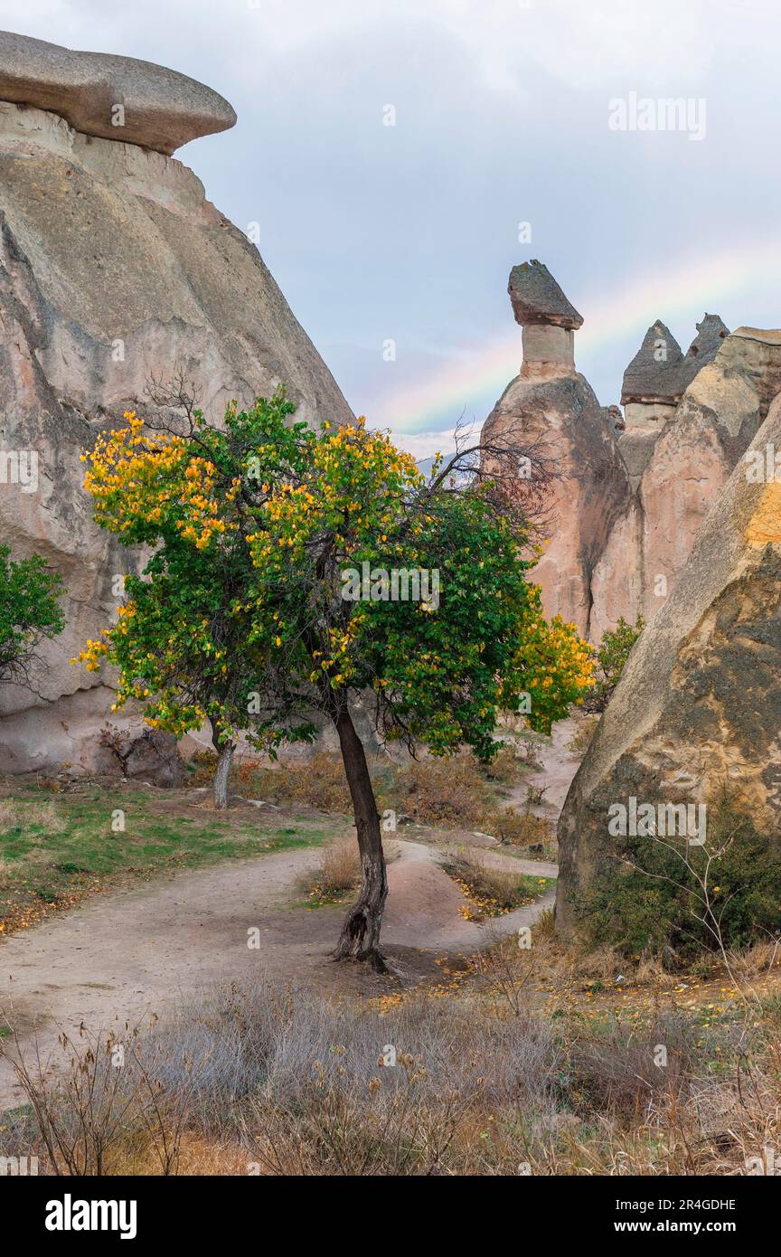 Rock formation, fairy chimney, fairy chimneys, Cappadocia, Central ...