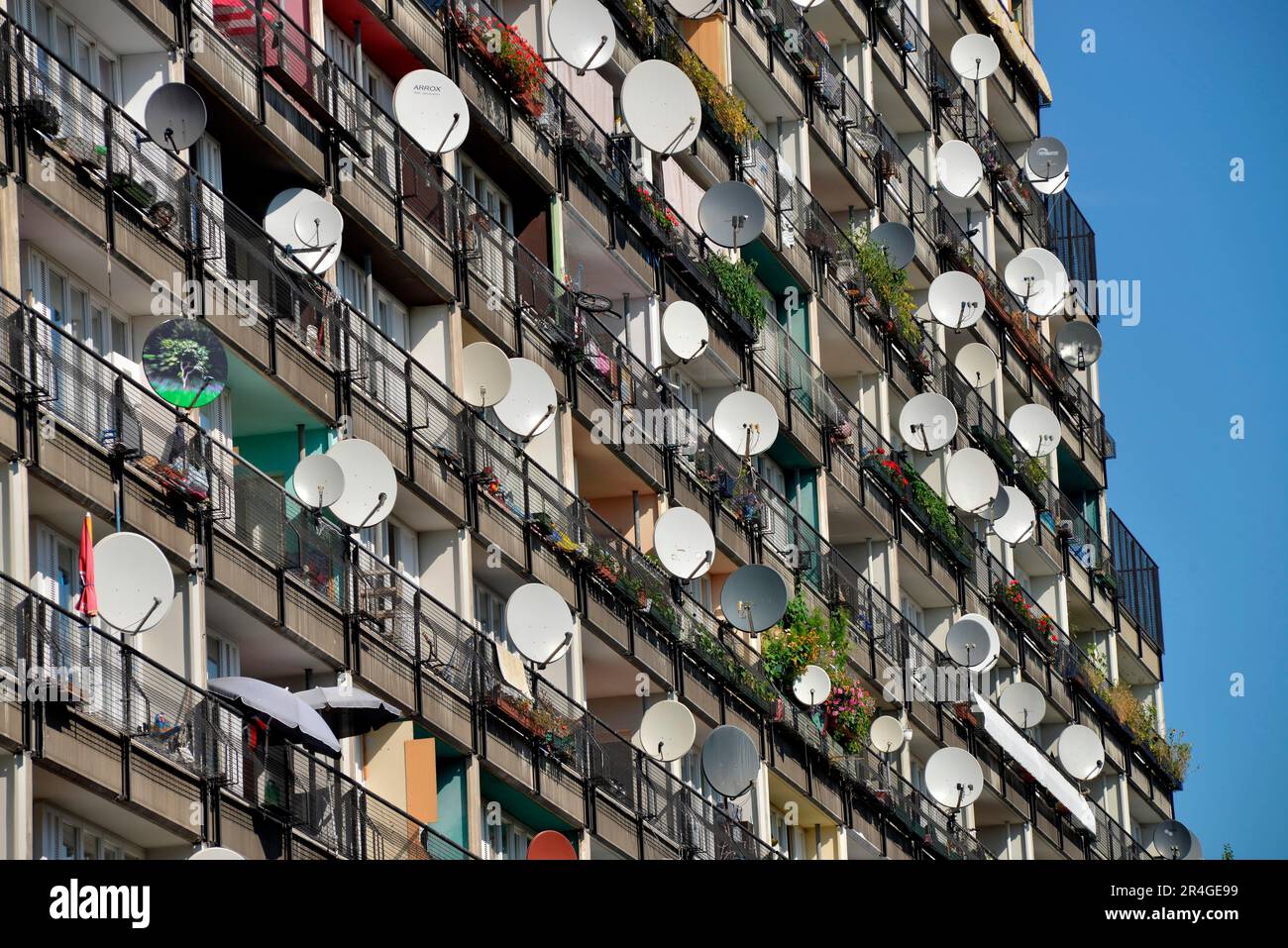 Satellite dishes, social housing, social housing, social housing ...