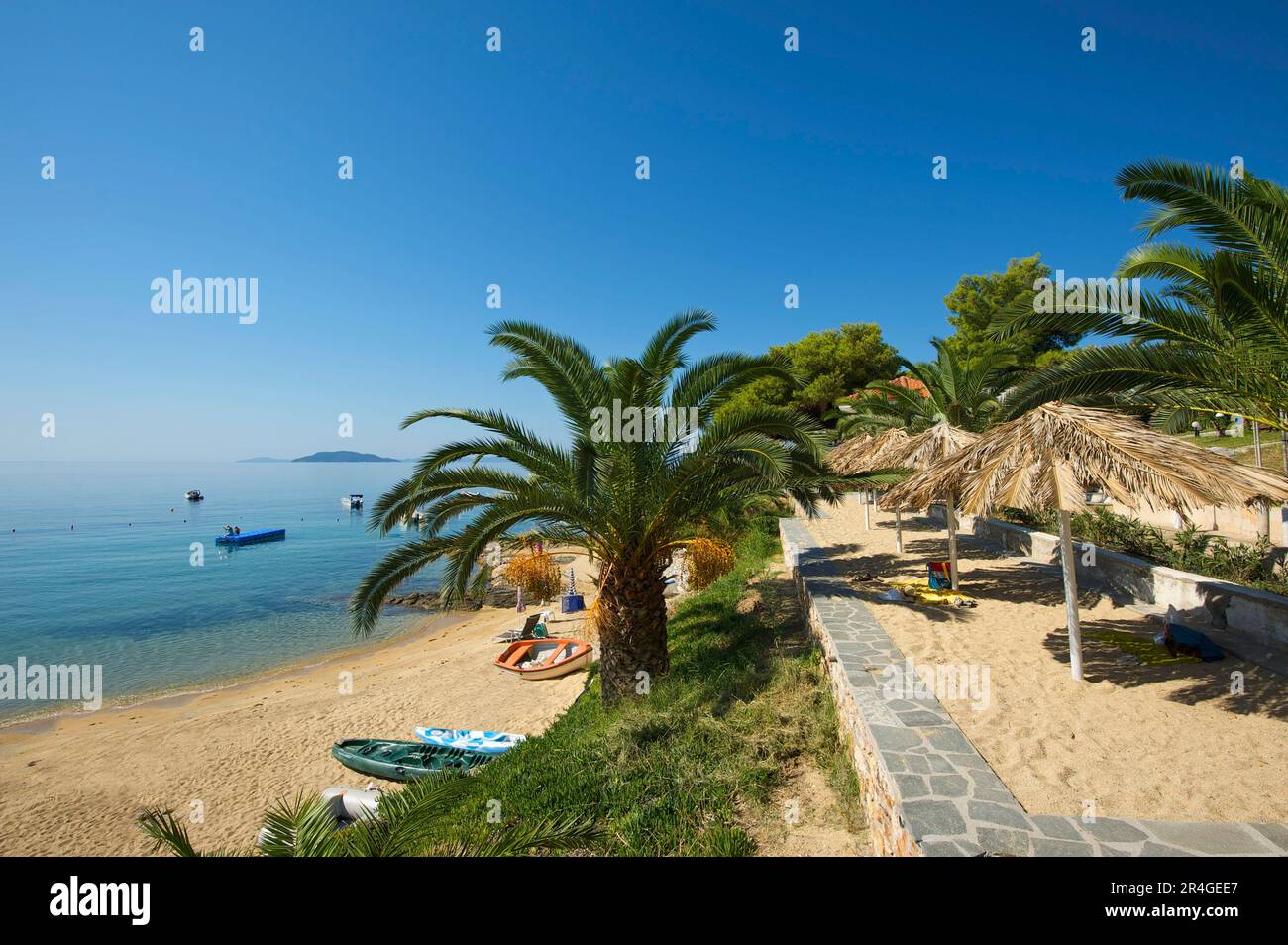 Beach from Camp Mitari, Sithonia, Chalkidiki, Greece Stock Photo - Alamy