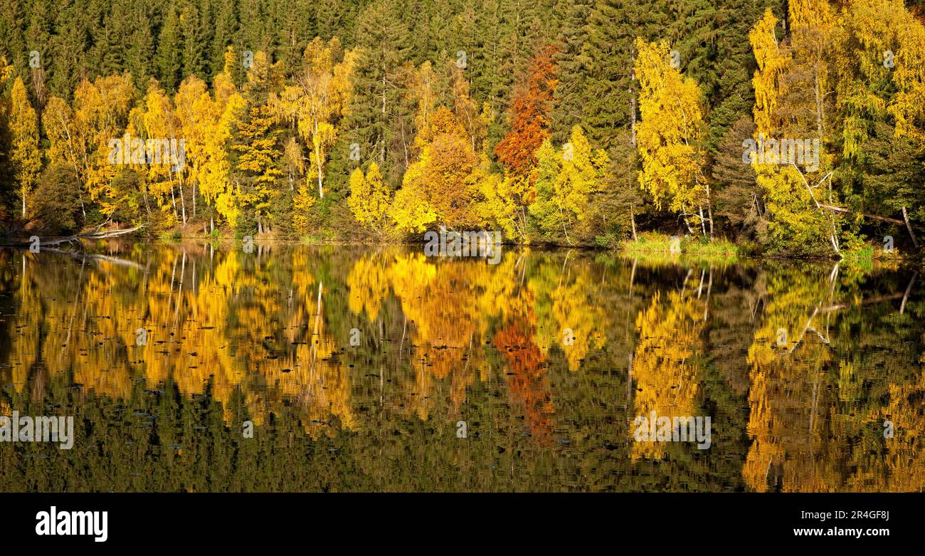 Autumn leaves and reflection in the water Stock Photo - Alamy