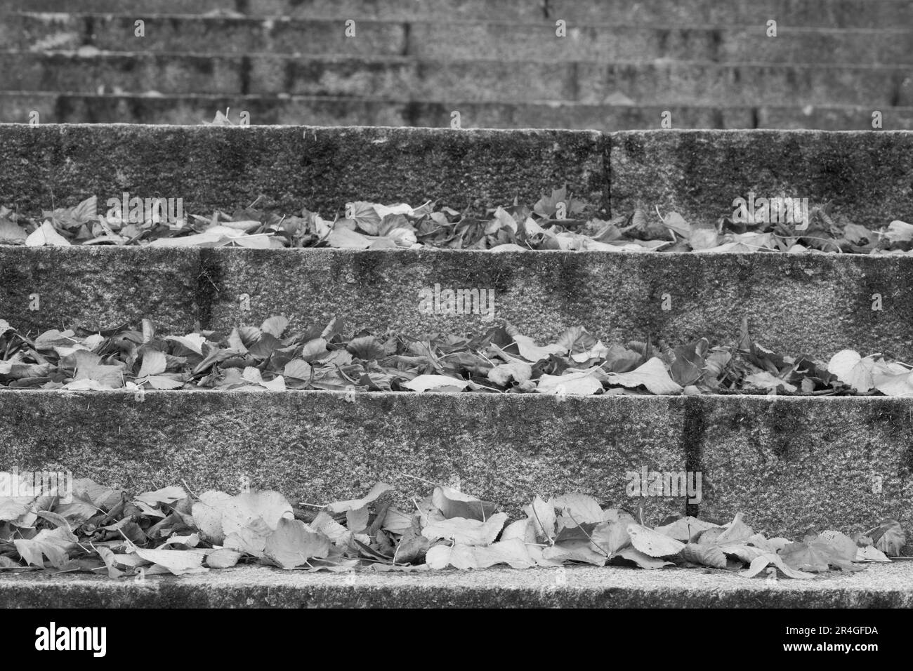 Stair treads with foliage leaves Stock Photo - Alamy