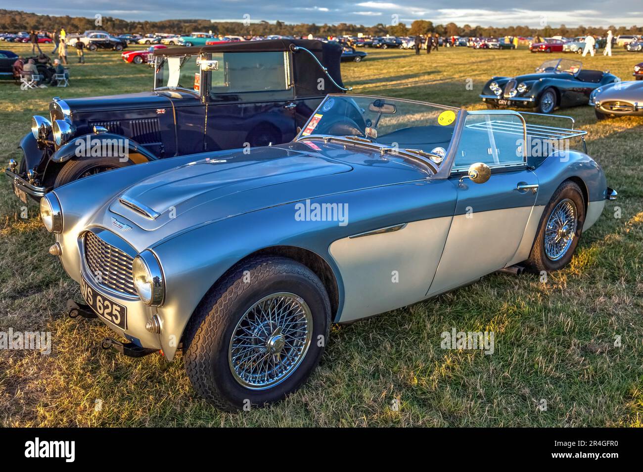 Old Austin Healey Sports Car Parked at Goodwood Stock Photo - Alamy