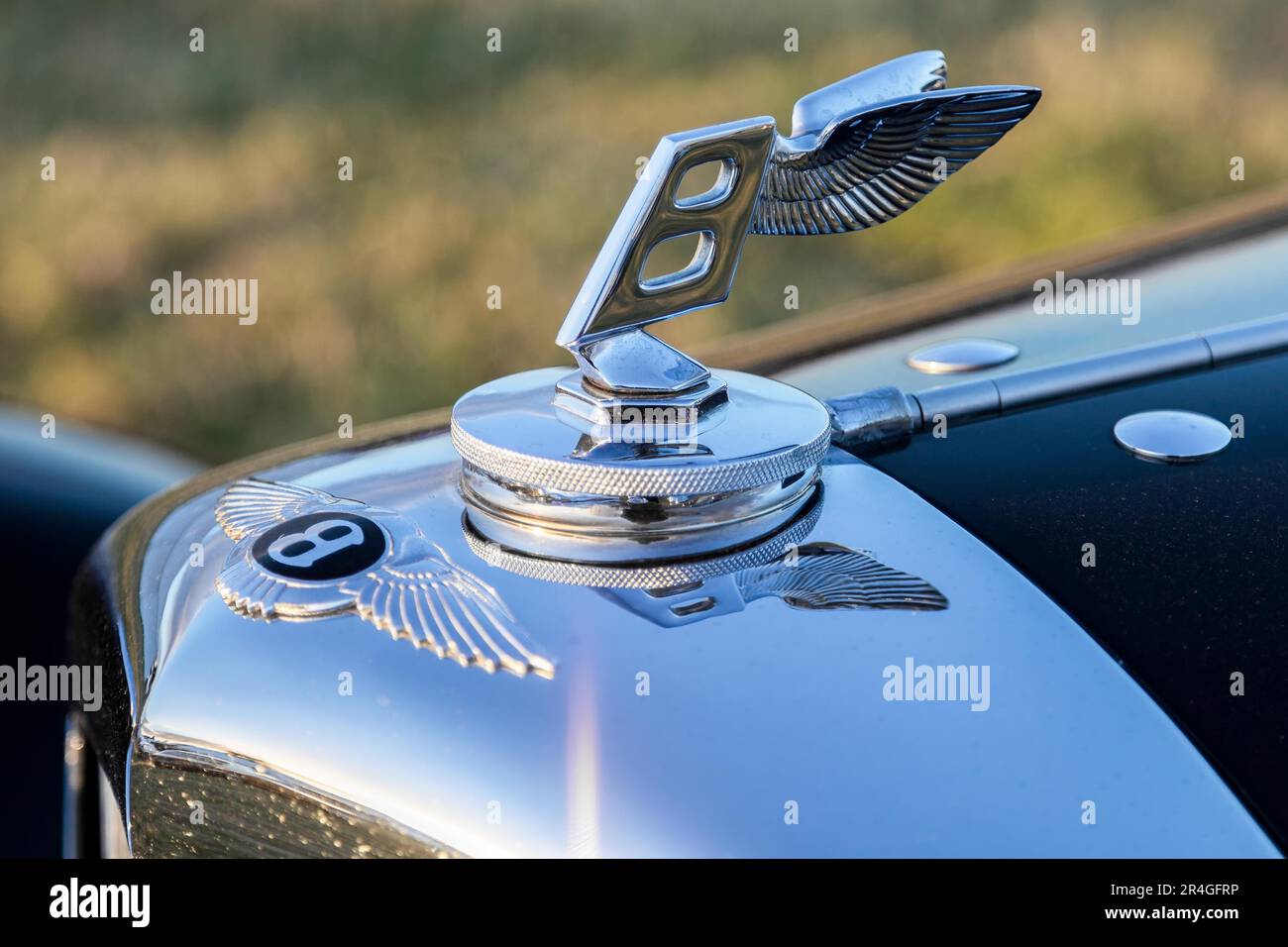 Bentley emblem hi-res stock photography and images - Alamy