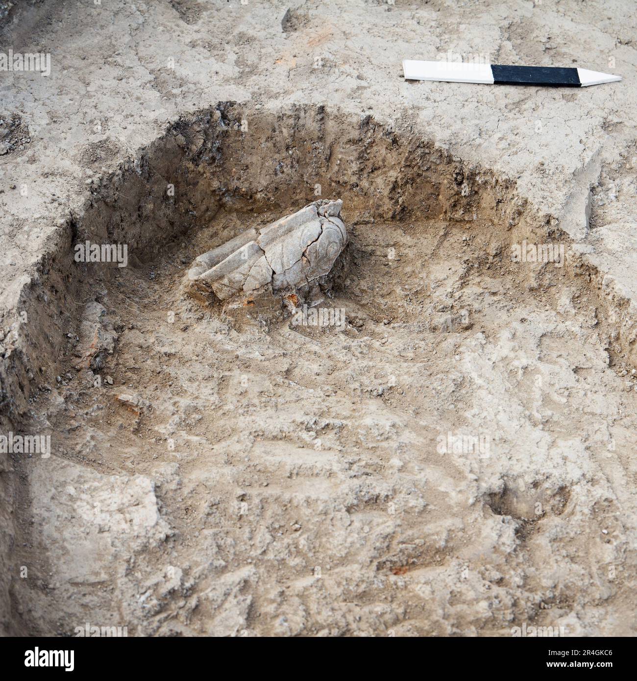 Scale archeology hi-res stock photography and images - Alamy