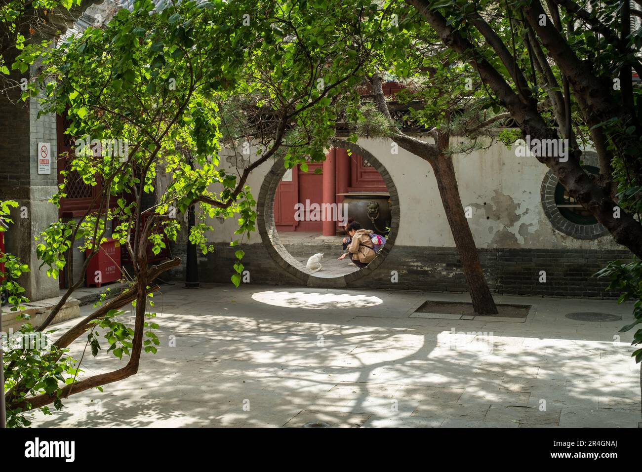 A scene of Fayuan Temple in Beijing, China Stock Photo - Alamy