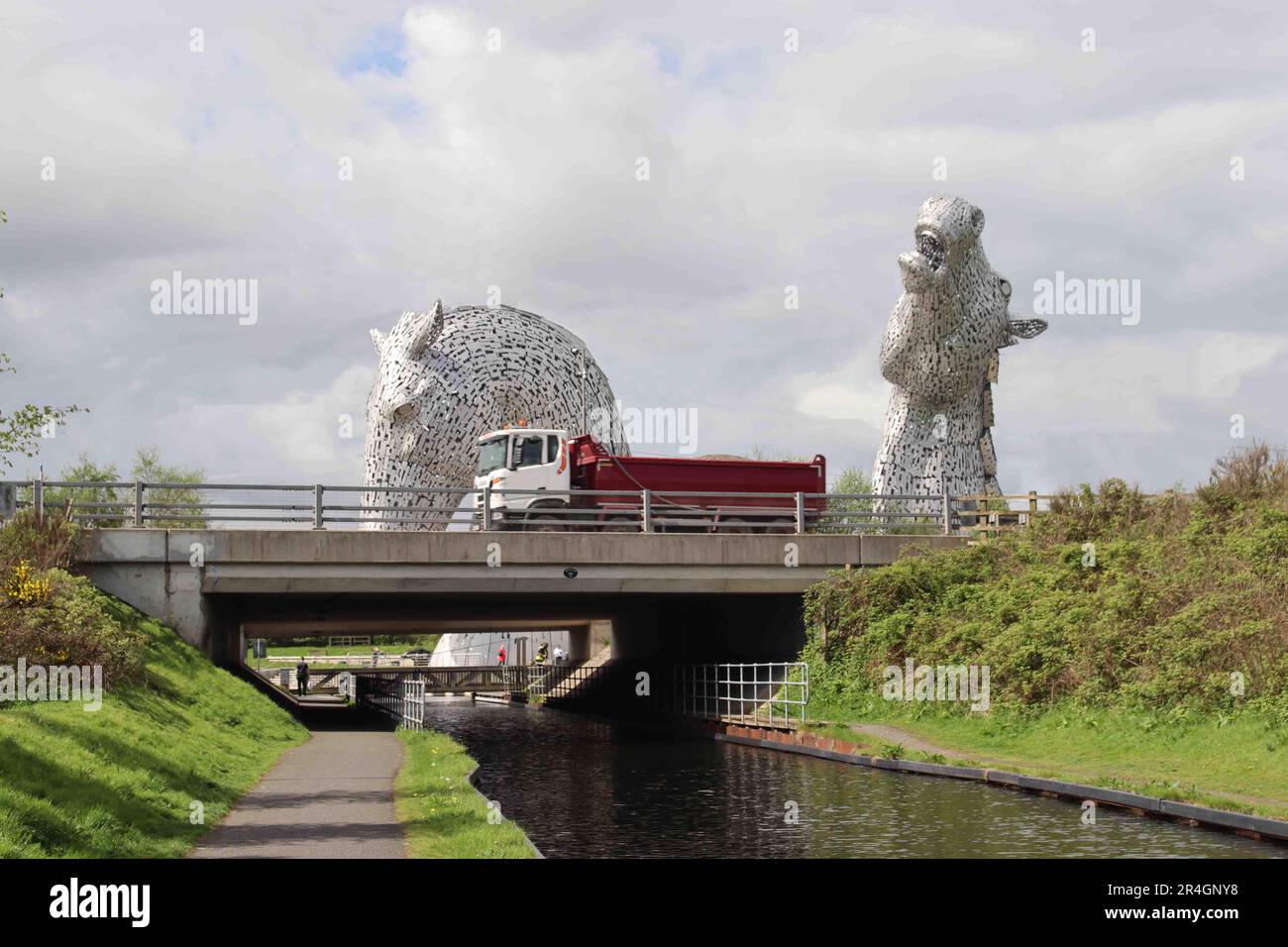 Red kelpie kelpies hi-res stock photography and images - Alamy