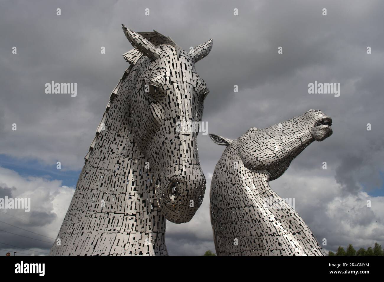 Silver kelpie hi-res stock photography and images - Alamy