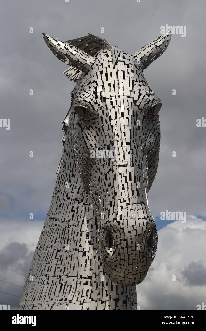 Red kelpie kelpies hi-res stock photography and images - Alamy
