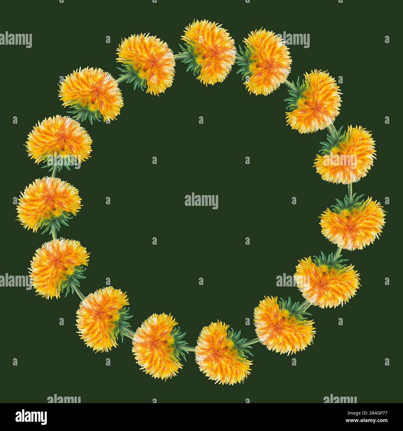 Watercolor wreath of dandelion flowers. Hand painting clipart botanical ... Watercolor wreath of dandelion flowers. Hand painting clipart botanical ...
