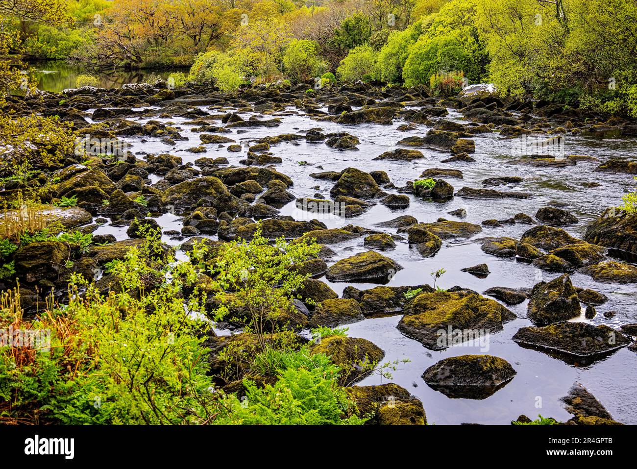 Glencanane hi-res stock photography and images - Alamy