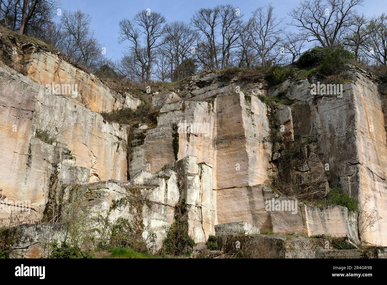 Remains of an old Roman quarry near Bad Dürkheim, Germany Stock Photo ...