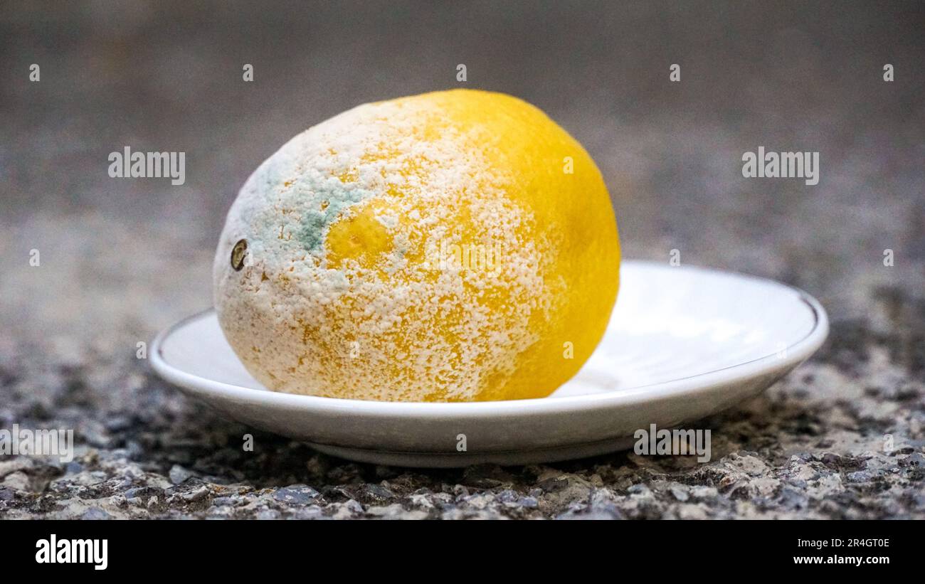 Rotting food plate hi-res stock photography and images - Alamy