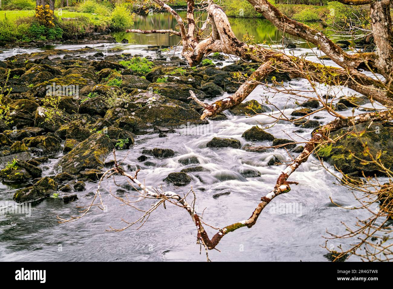 Blackstones hi-res stock photography and images - Alamy