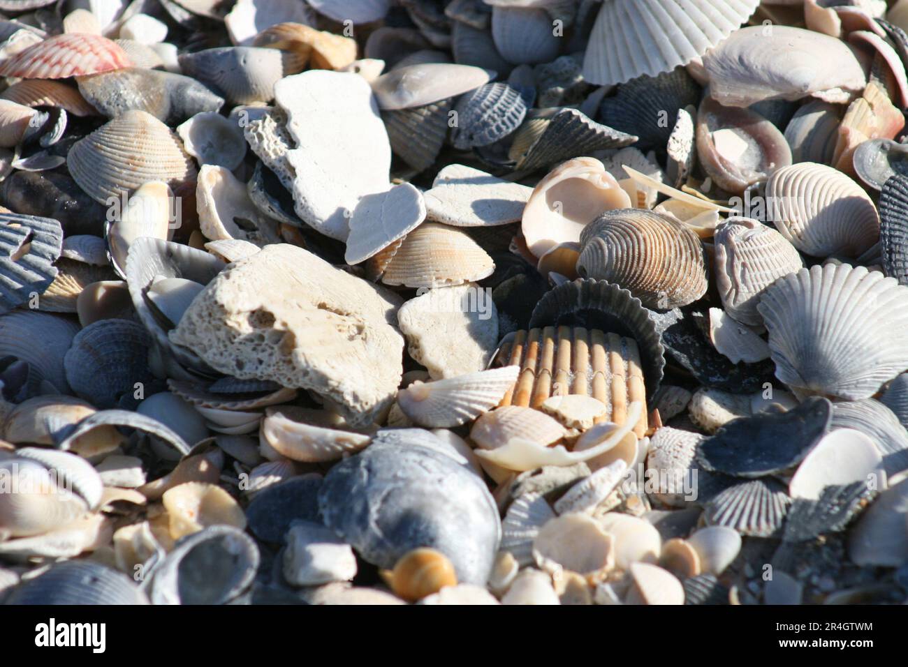 Gulf Shores Dune Project at Gulf Shores State Park in Gulf Shores ...