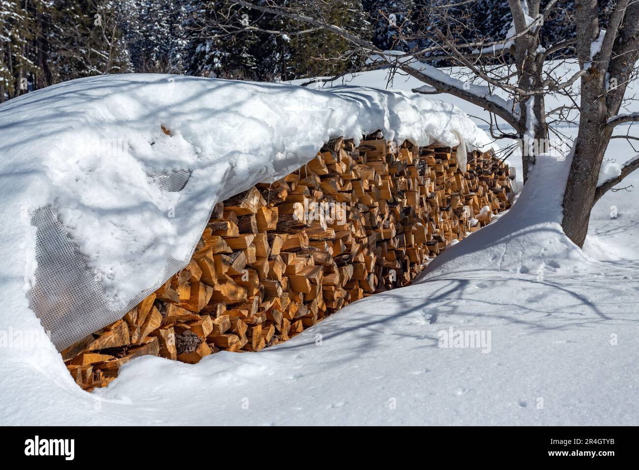 Stack firewood winter hi-res stock photography and images - Alamy