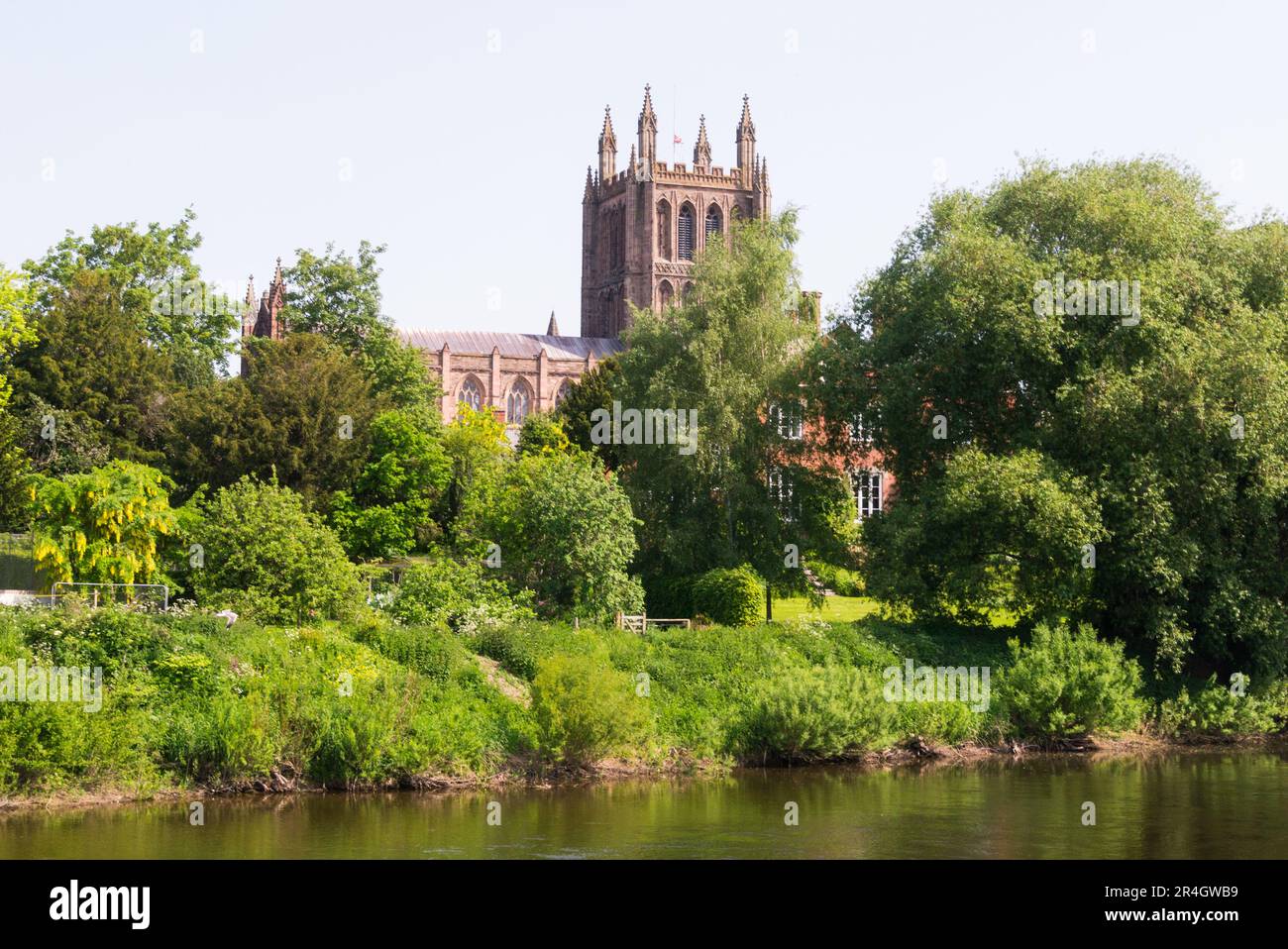 View across River Wye to Hereford Cathedral from Wye riverside walk ...