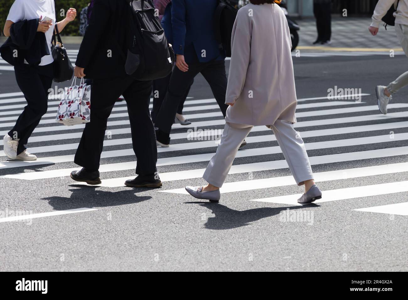 picture of a crowd of people crossing a city street at the zebra ...