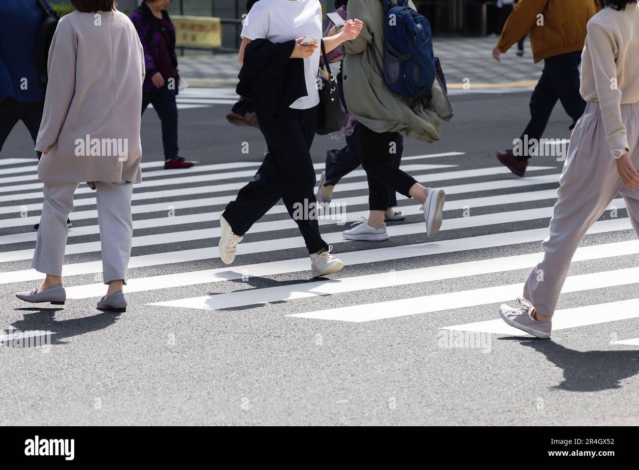picture of a crowd of people crossing a city street at the zebra ...