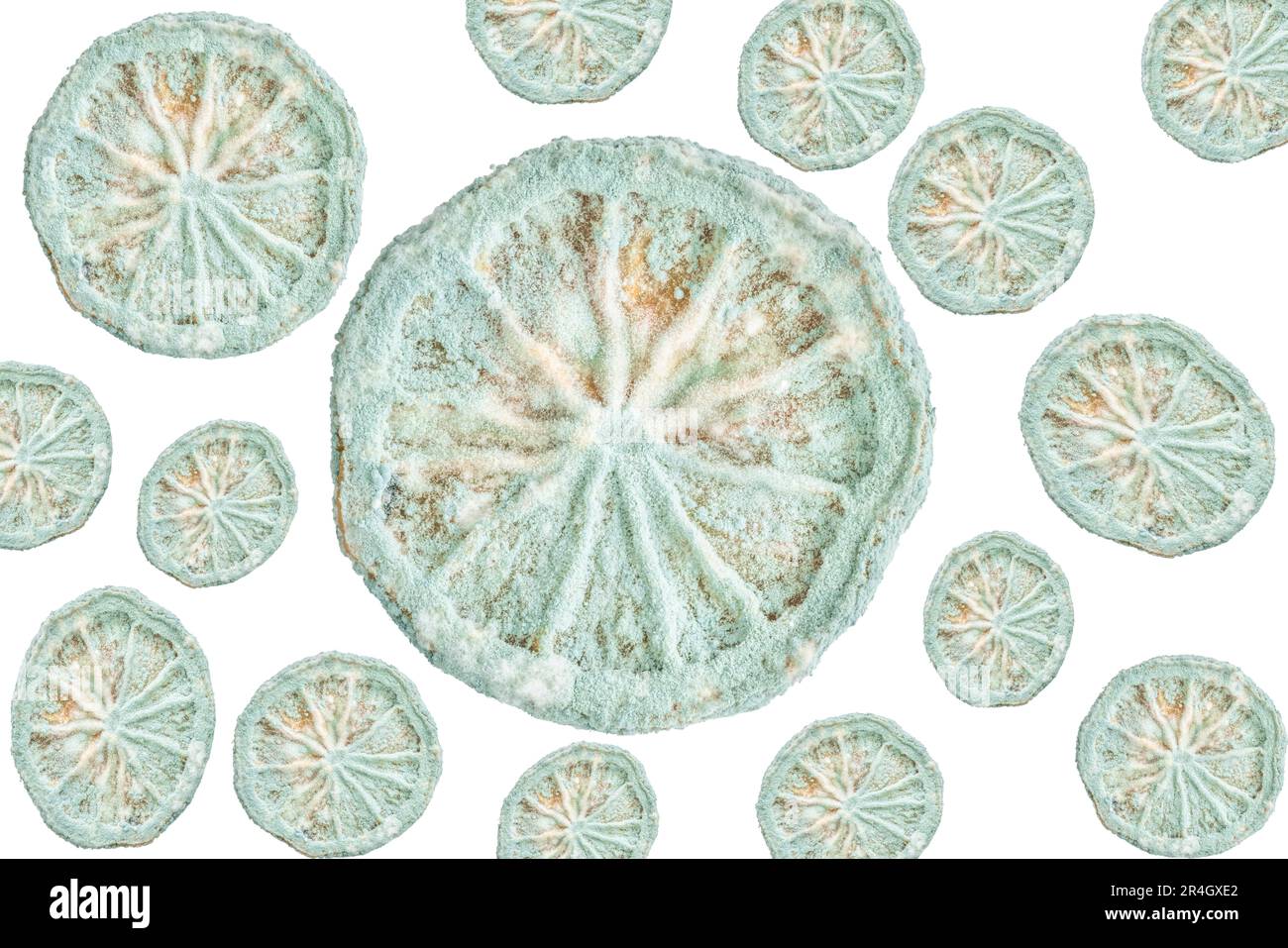 Moldy fruit hi-res stock photography and images - Alamy
