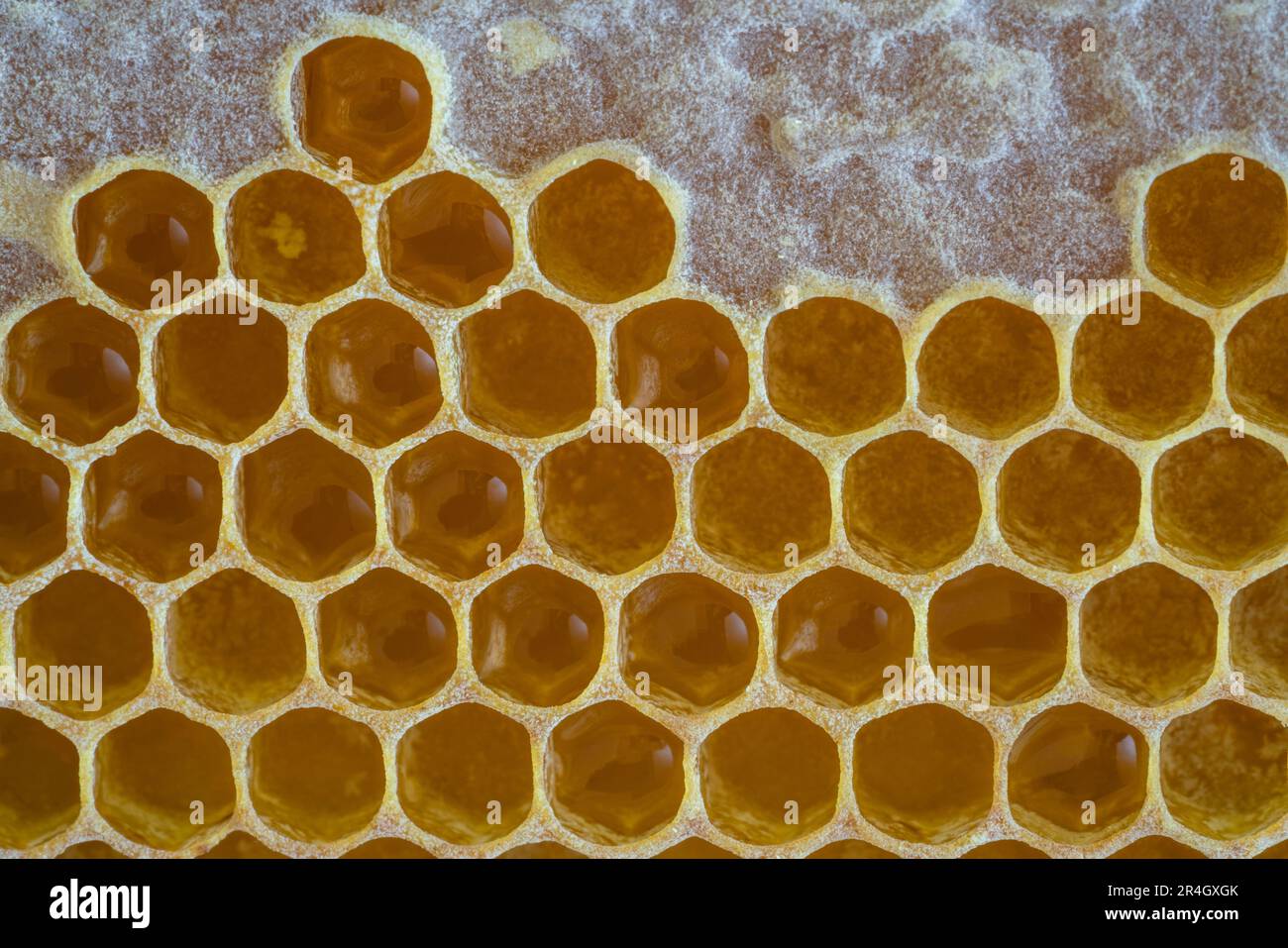 honeycomb, closeup top view top view honeycomb with honey as a ...