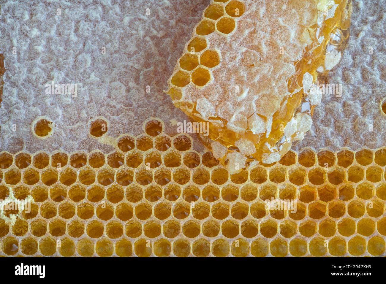 honeycomb, closeup top view top view honeycomb with honey as a ...