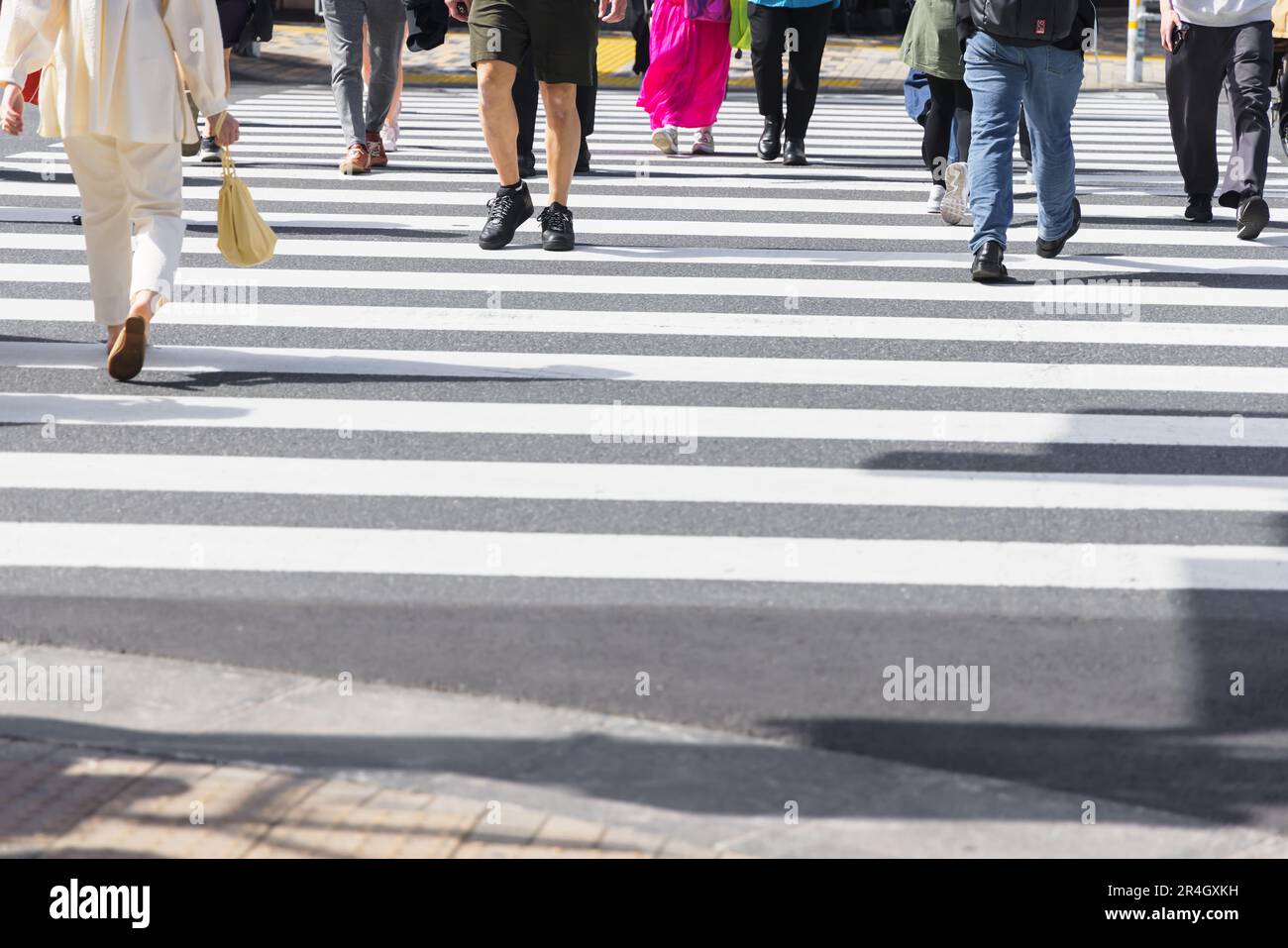 picture of a crowd of people crossing a city street at the zebra ...