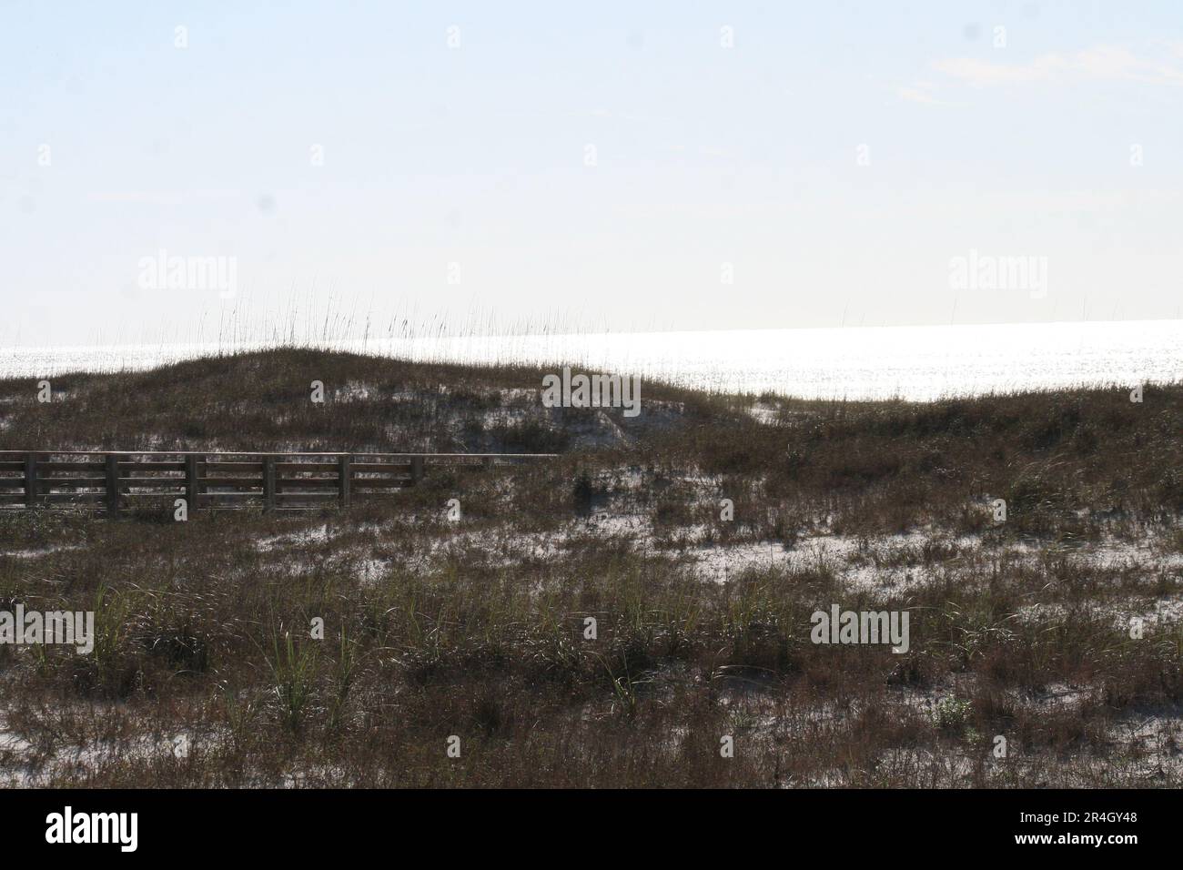Gulf Shores sand dune project. The Sand Dune Restoration Project is an ...