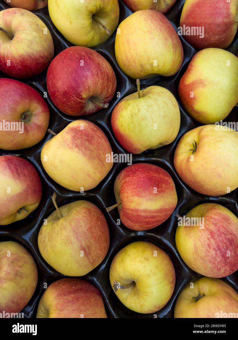 apples, top view fresh ripe red apple fruits as background or surface ...