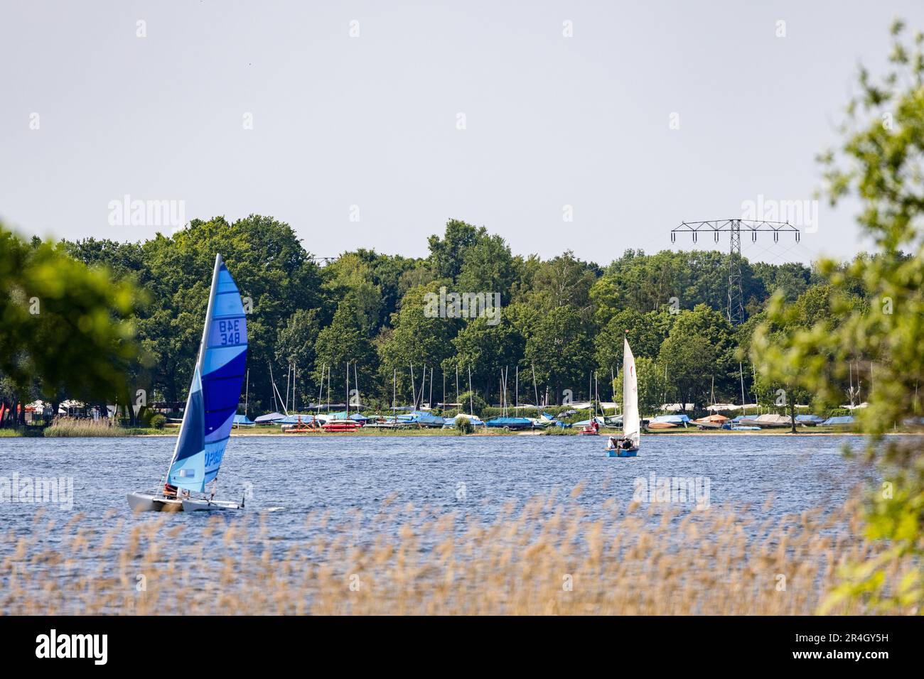 Senftenberg, Germany. 28th May, 2023. Sailboats sail across Lake ...