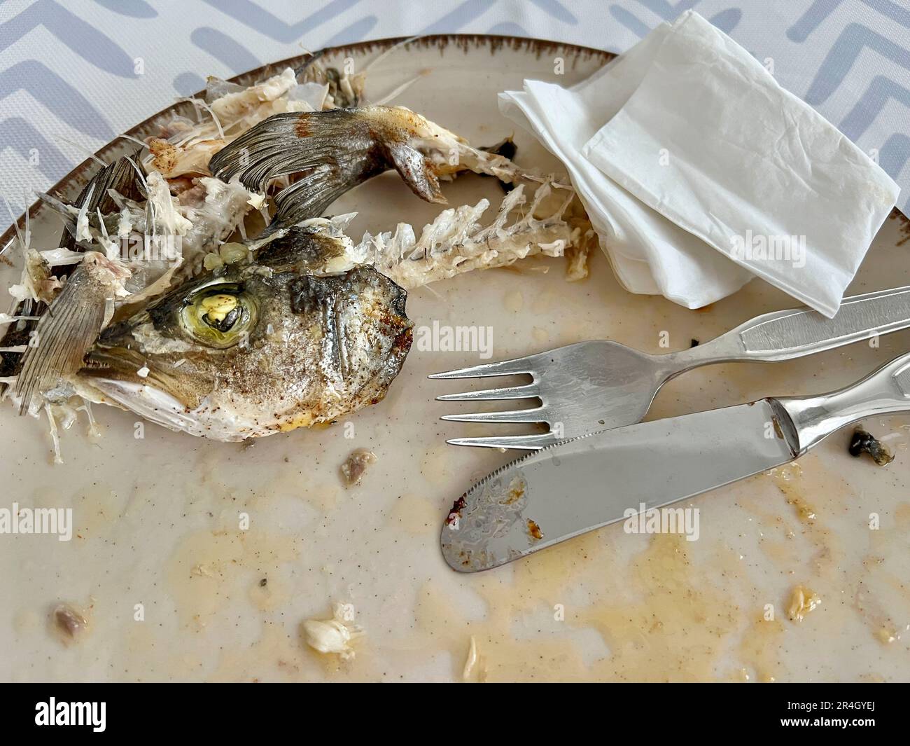 Food remains hi-res stock photography and images - Alamy