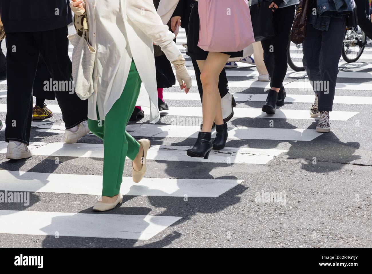picture of a crowd of people crossing a city street at the zebra ...
