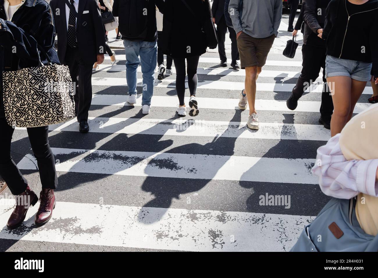 picture of a crowd of people crossing a city street at the zebra ...